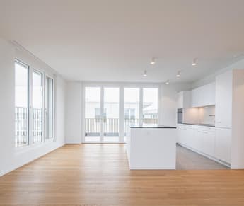 11 Wohnungen zum Mieten: Stein am Rhein | ImmoScout24