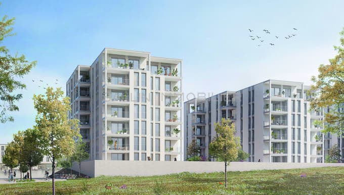 Sallin Immobilier SA – Immobilier à louer et à vendre en Suisse ...