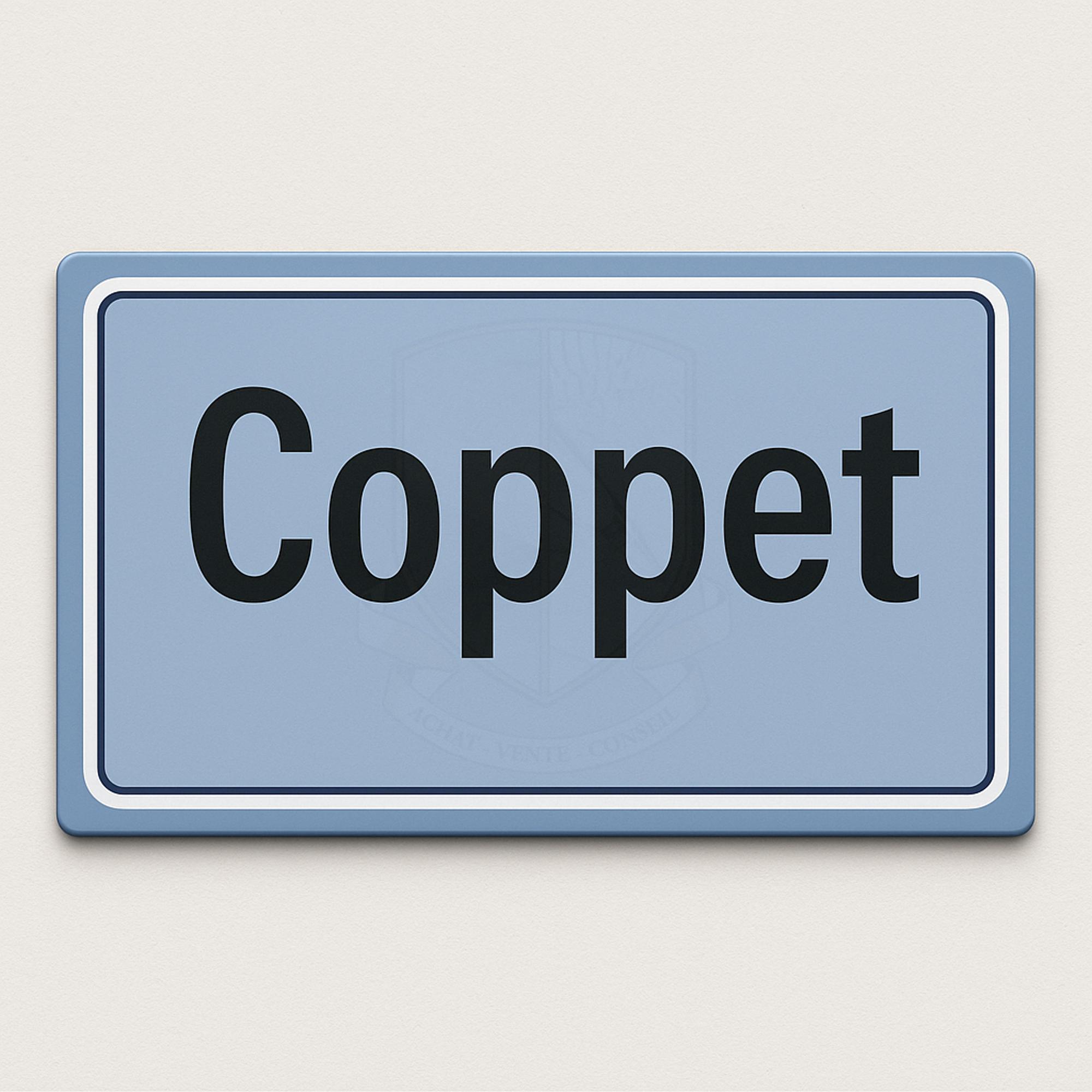 Bella arcata commerciale in vendita a Coppet