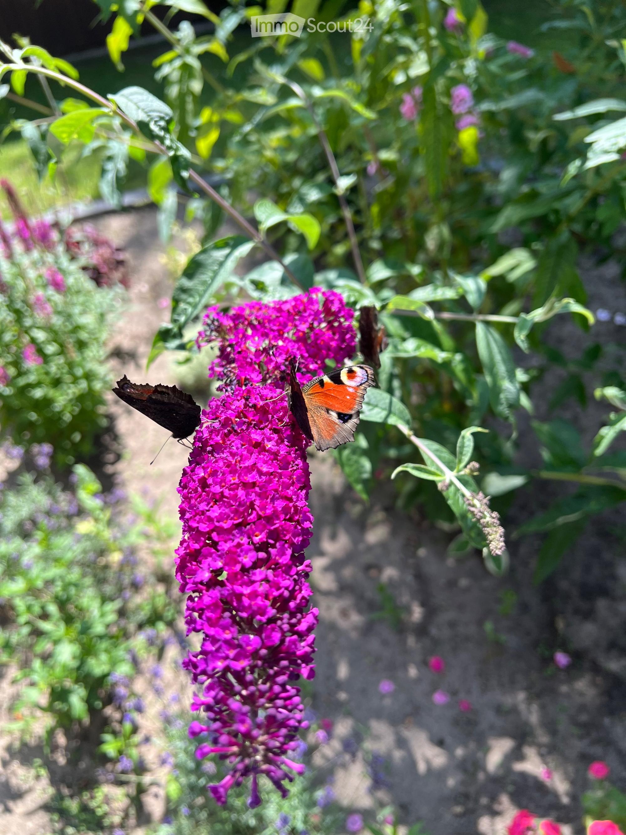 4½ rooms - Apartment - for CHF 1880 - 94 m²