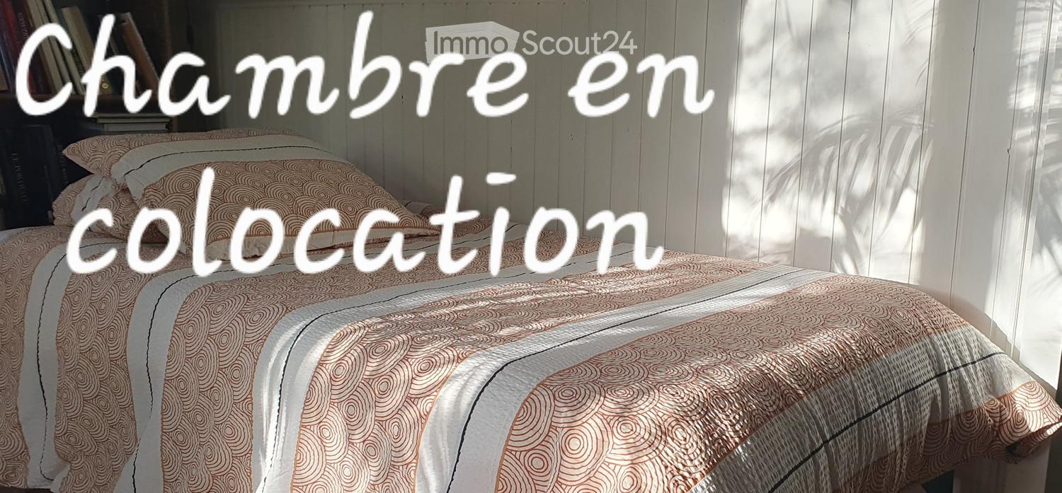 Single Room - for CHF 980