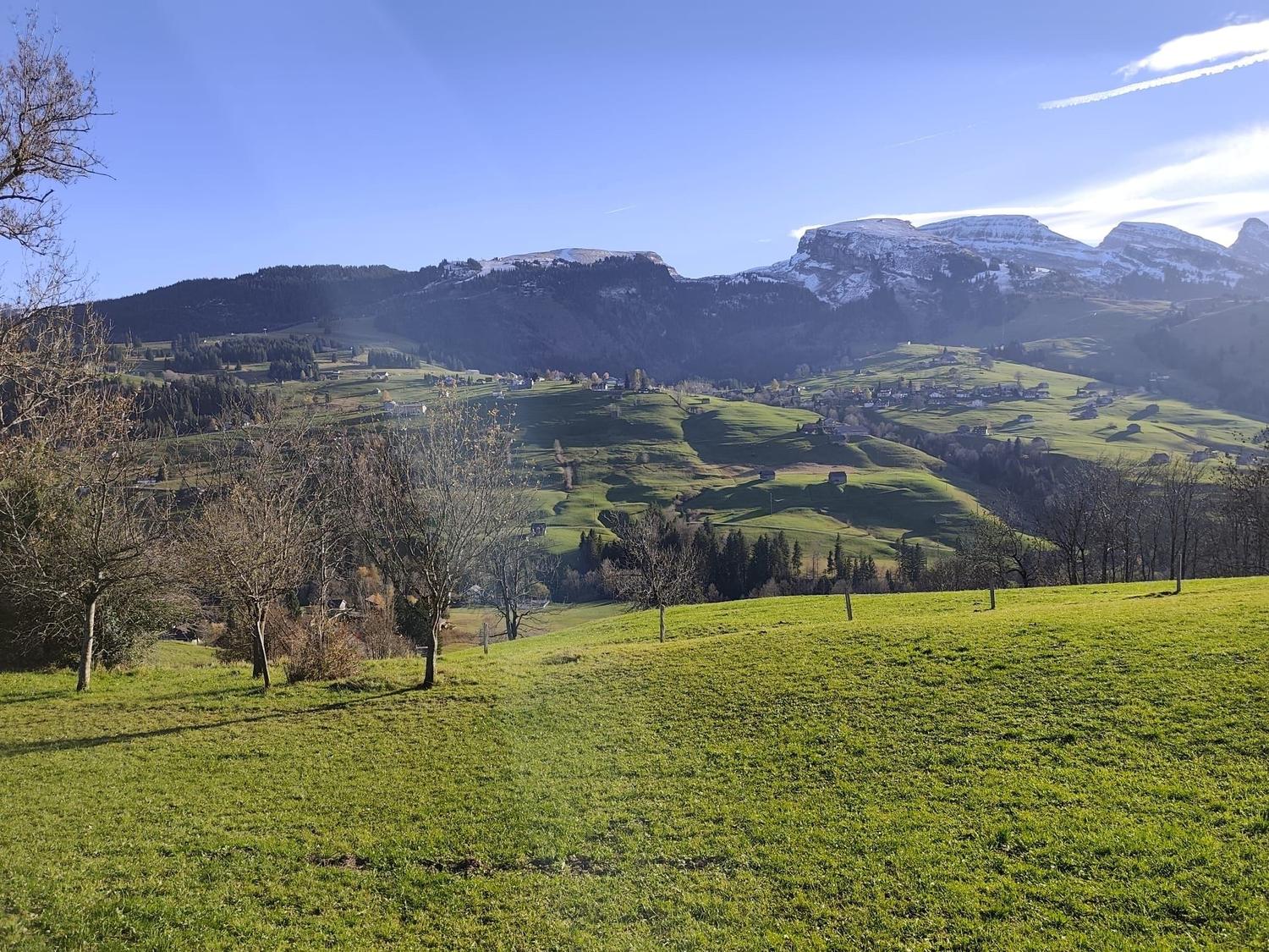 7 rooms - Farm house - in Moos 1382