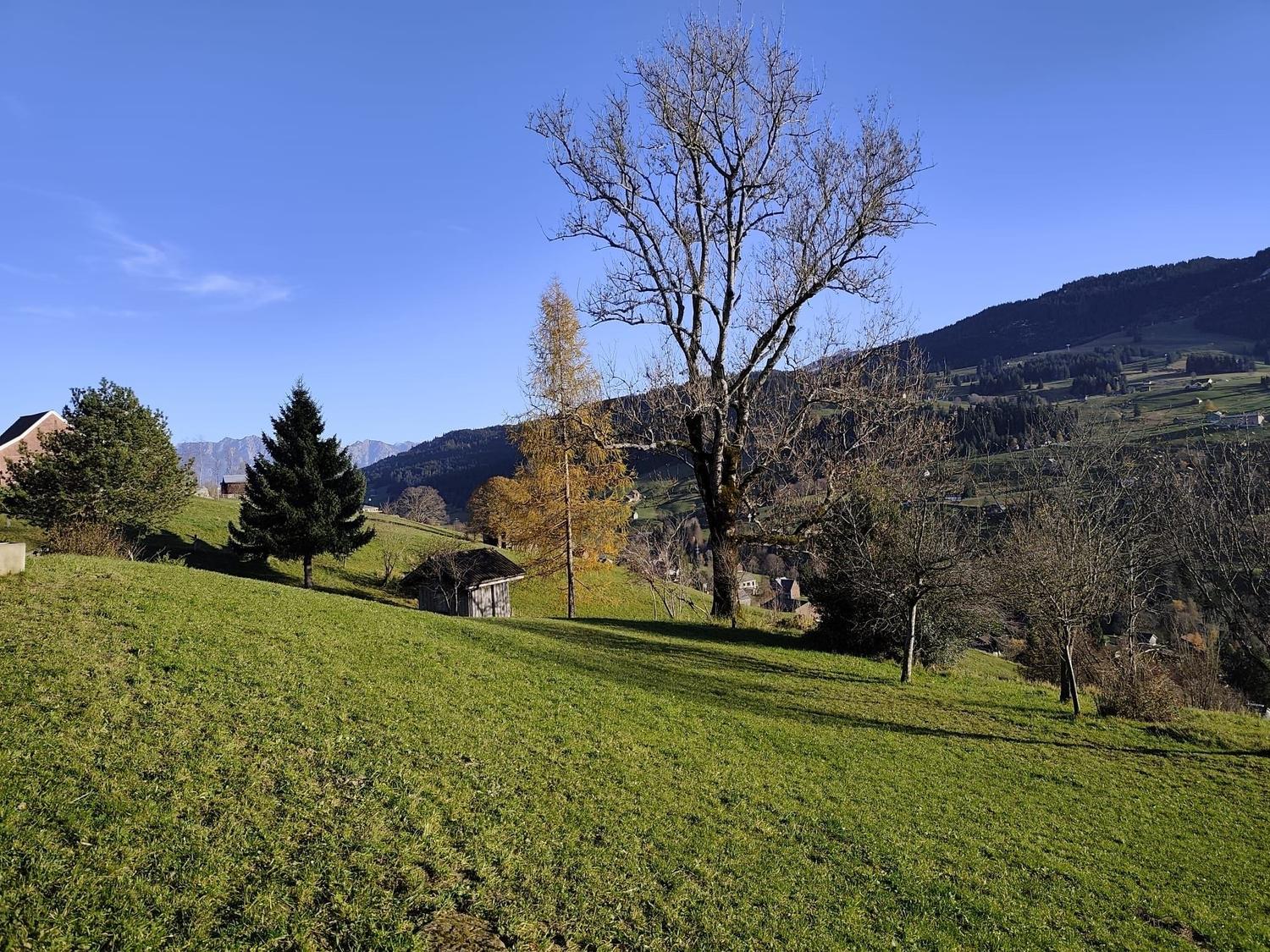 7 rooms - Farm house - in Moos 1382