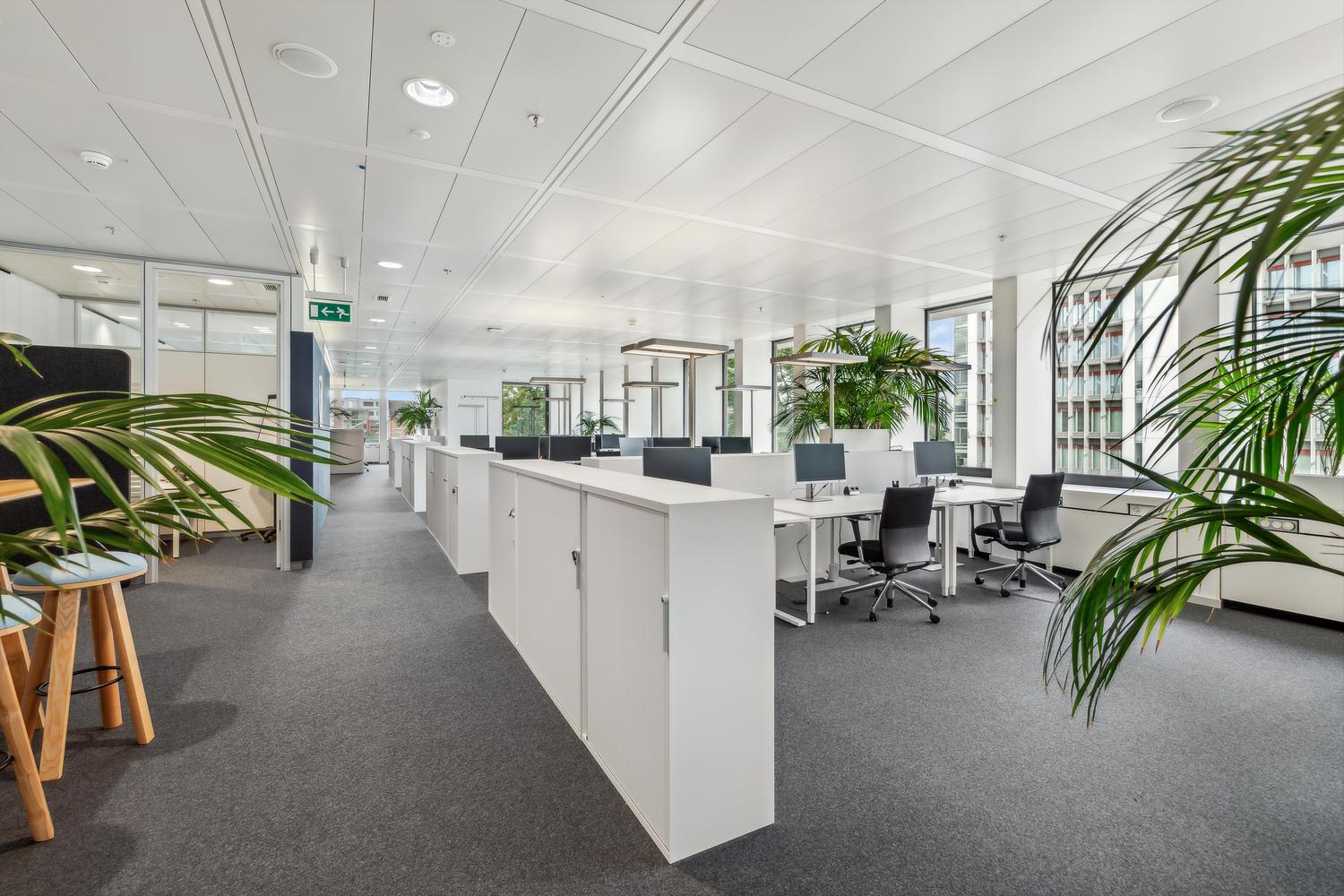 Work where innovation is at home - office space in the Novartis Campus