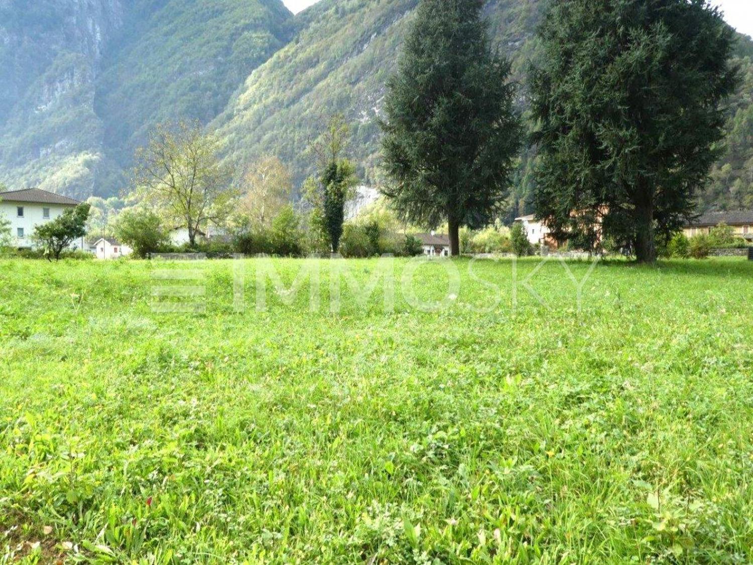 A dream land for the house you've always wanted!