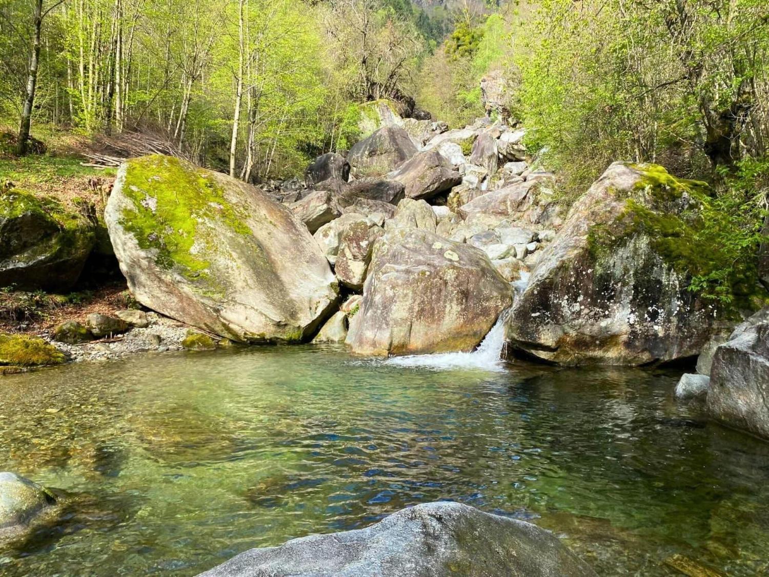 Terrain constructible avec piscine naturelle à Giornico