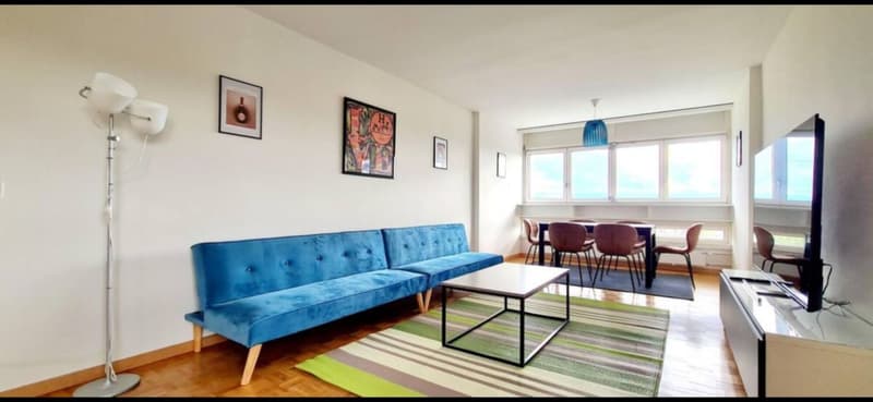 Magnifique 6.5P meuble et contemporain / 5CHB / 1 SDB / proche EHL et ...