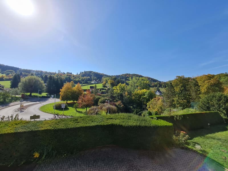 Ferrette aux pieds du chÃ¢teau | ImmoScout24