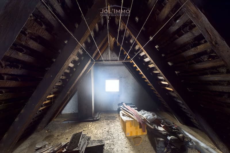 Magnificent and large building with a commercial space