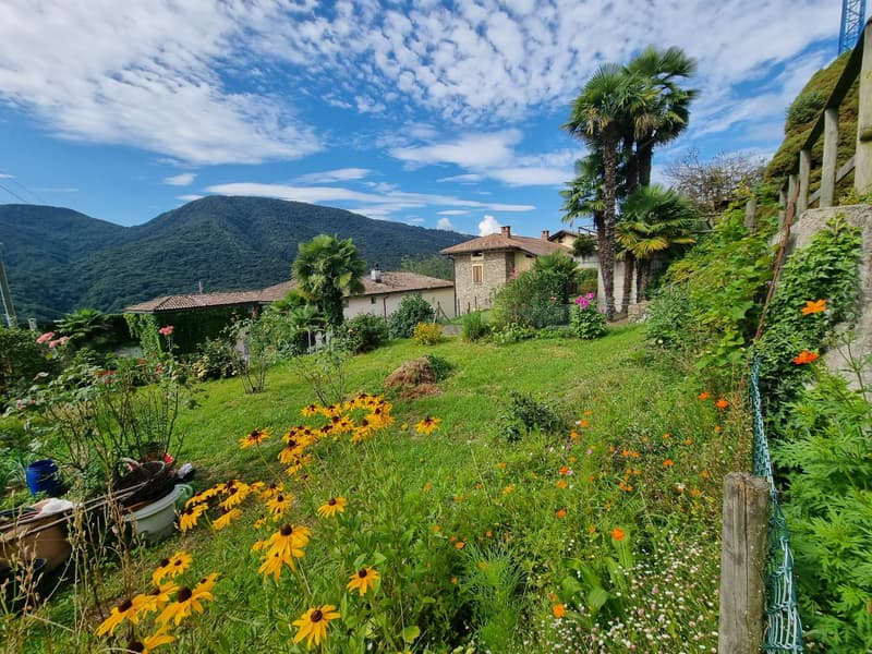 Buildable land with project for a house in Monteggio