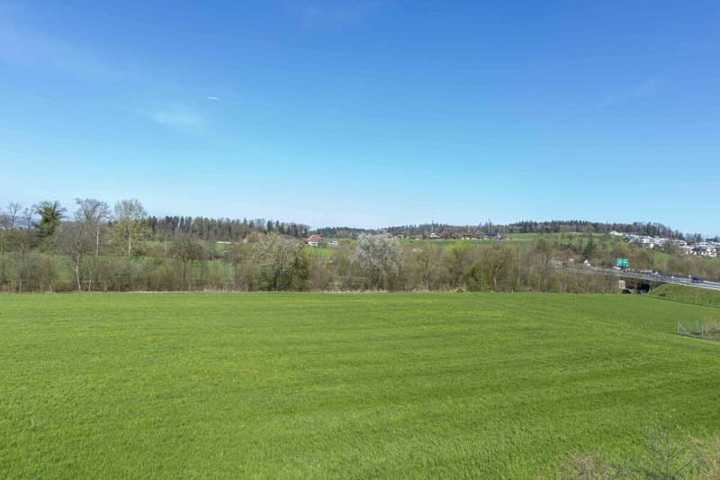 Exclusive large office space with state-of-the-art technology and first ...