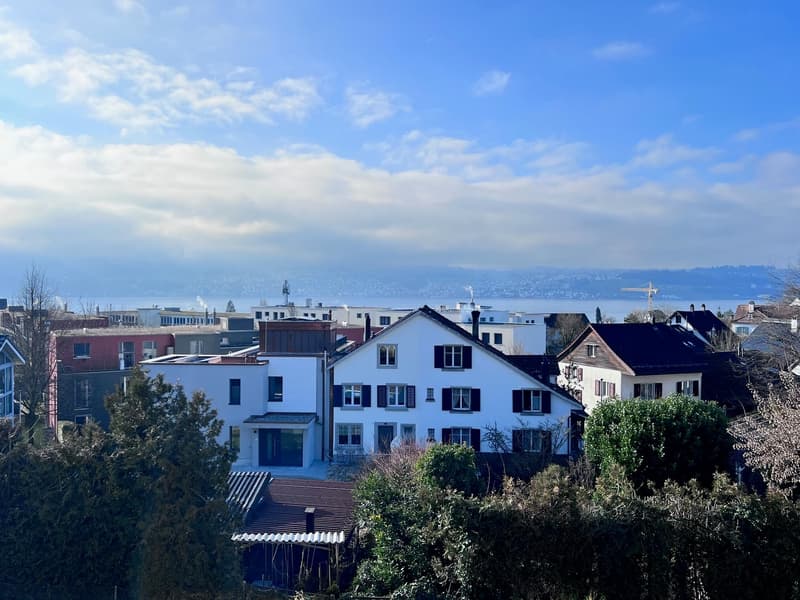 Renovierte Wohnung mit toller Seesicht | ImmoScout24