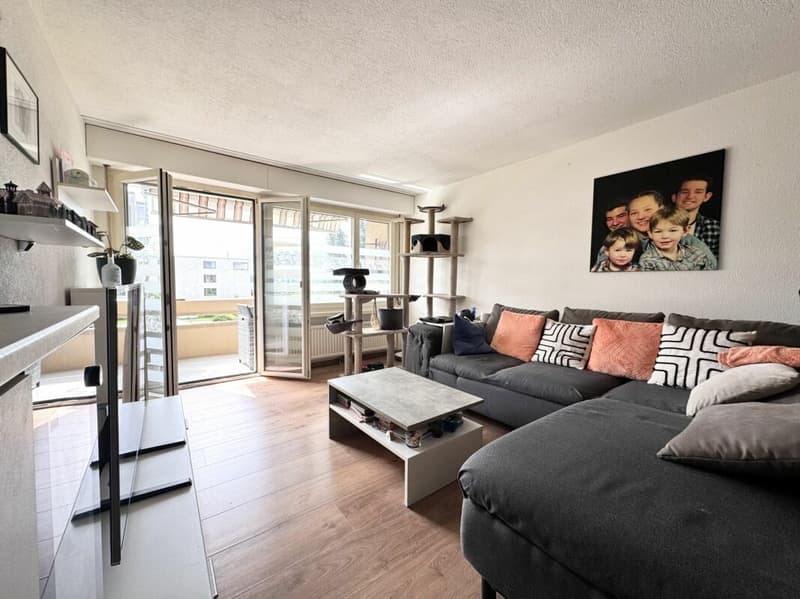 Schöne Wohnung mit Teil-Seesicht auf den Baldeggersee | ImmoScout24