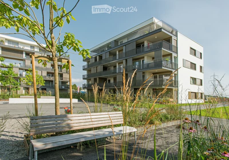 Feldheim 35 - CHF 650000 - 2.5 Pièces | ImmoScout24