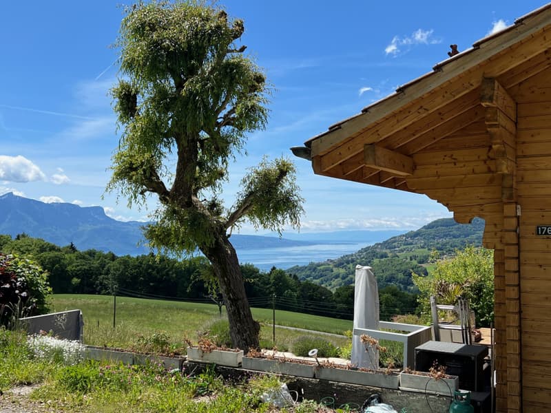 Grand chalet de 2 appts 6.5 + 2.5 pces, terrain 2000 m2 | ImmoScout24