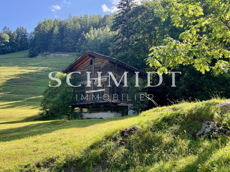 Praz-de-Fort - Raccard authentique au coeur de la nature | ImmoScout24