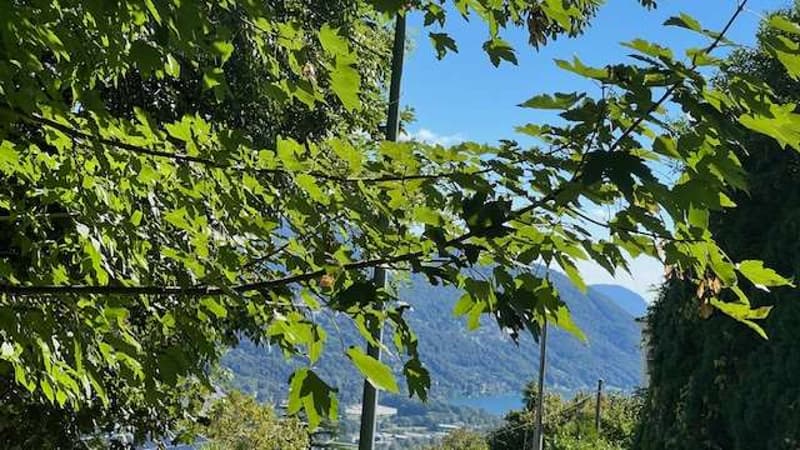 Bosco Luganese terrain constructible avec vue sur le lac