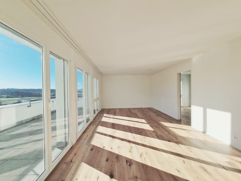 Neu renovierte 3.5 Zimmer-Attika-Wohnung mit Eigentumsstandard | ImmoScout24