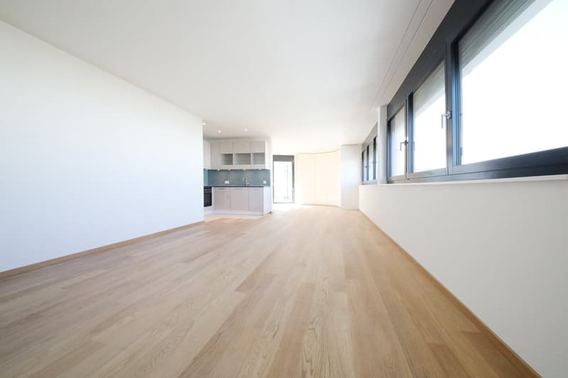 2 rooms - Apartment - in Hofwiesenstrasse 338 - for CHF 2520 - 61 m² ...