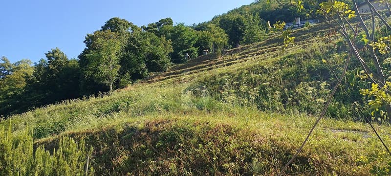 Building plot with open view