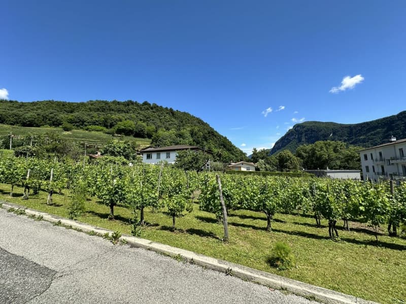 Verkauf eines interessanten Baugrundstücks von 1902 m², in sonniger und ...