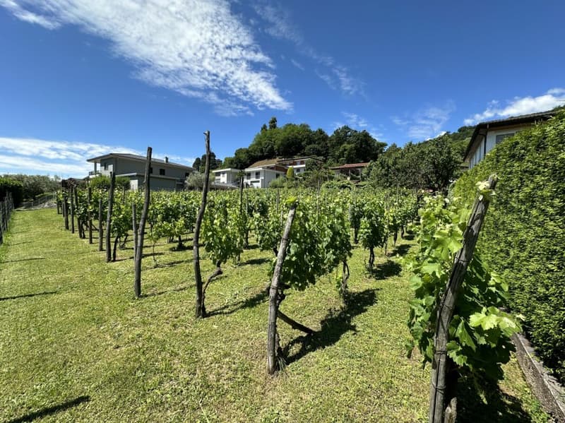 Sale of an interesting building plot of 1902 sqm, in a sunny and ...